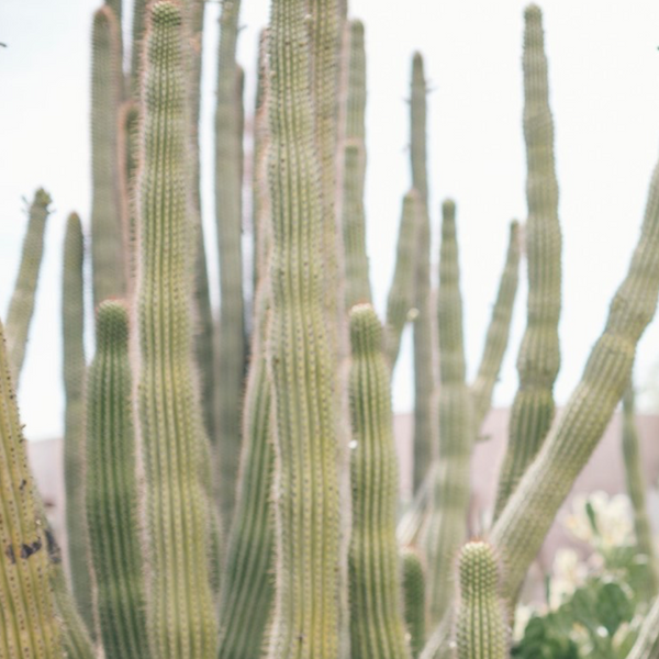 Understanding Windburn: Causes, Symptoms, and Relief Strategies ...